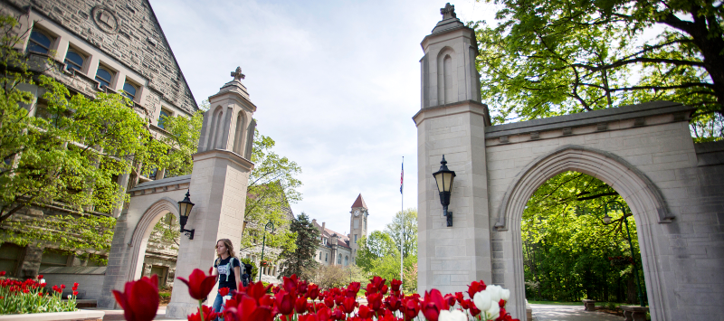 IRAB: Institute for Research on Addictive Behavior: Indiana University ...